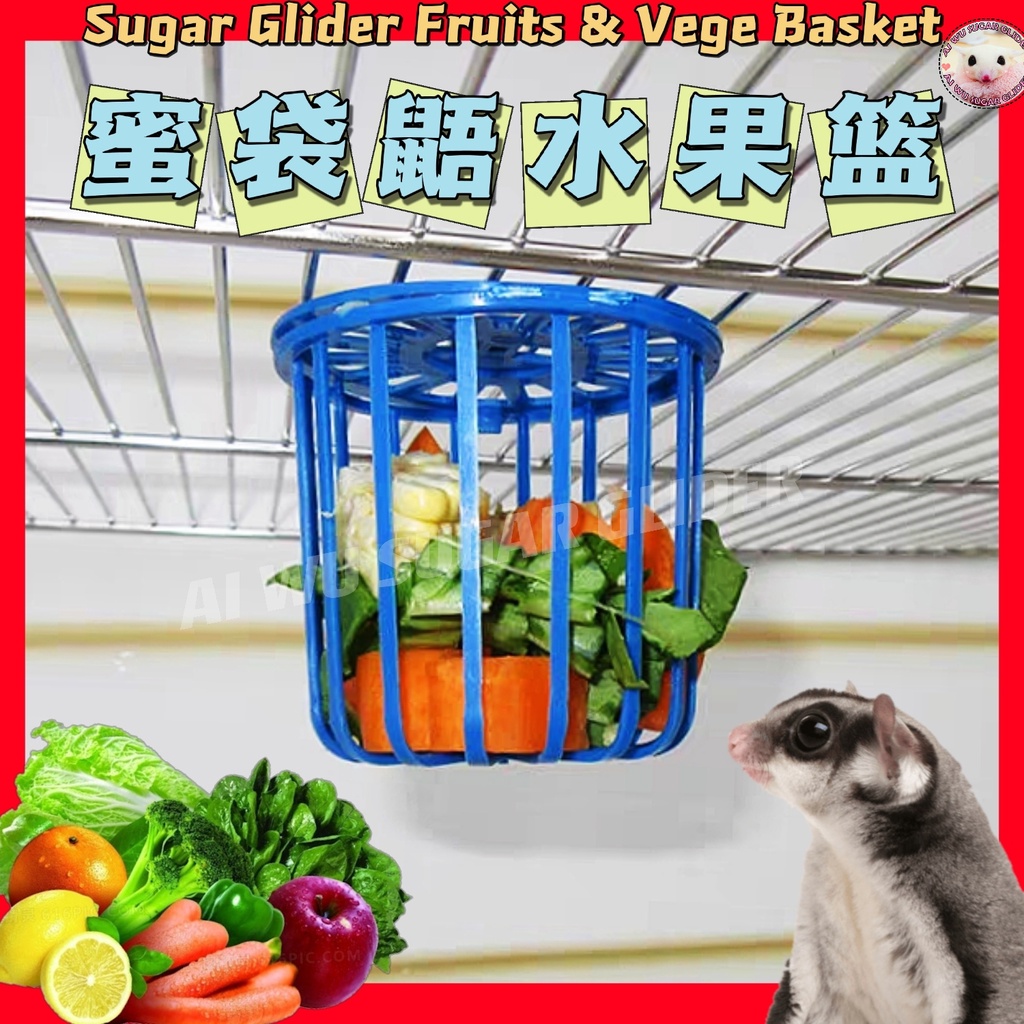 Sugar Glider Fruit & Vege Basket Toy food plate / bowl small pet ...