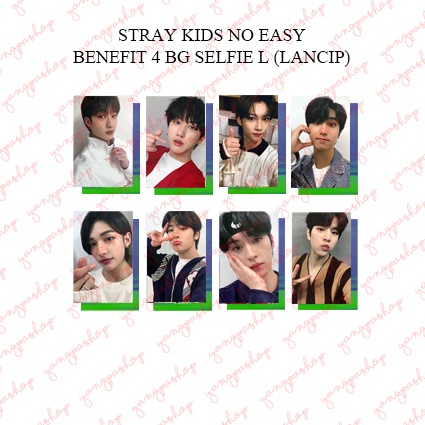 [READY/SET] Stray KIDS NOEASY PHOTOCARD SKZZ FAN MADE UNOFFICIAL SK SKZ ...