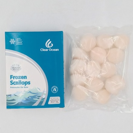 [NO BOX] CLEAR OCEAN Premium Canada Scallop XXL 500g Frozen Halal ...