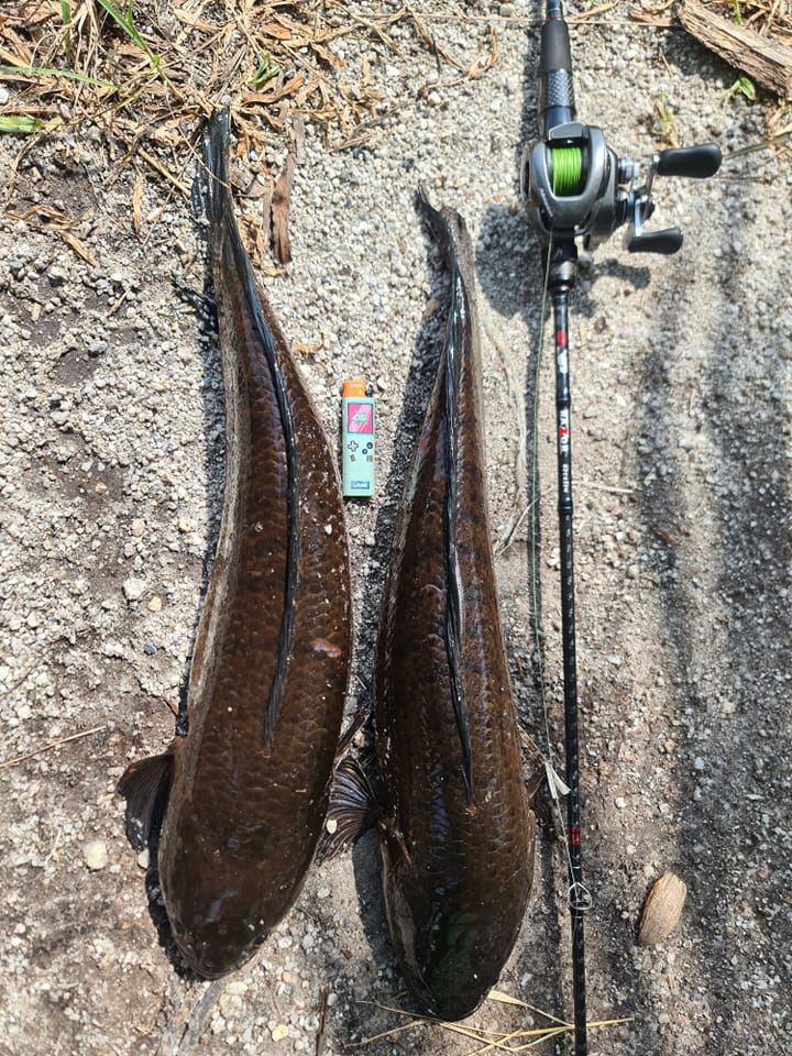 EXP RAZOR ROD Carbon Fiber 2PCS Fishing Rod Medium Light M Medium Heavy ...