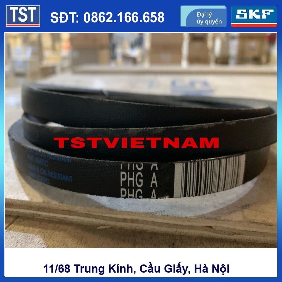 Phg A25 Belt | Shopee Malaysia