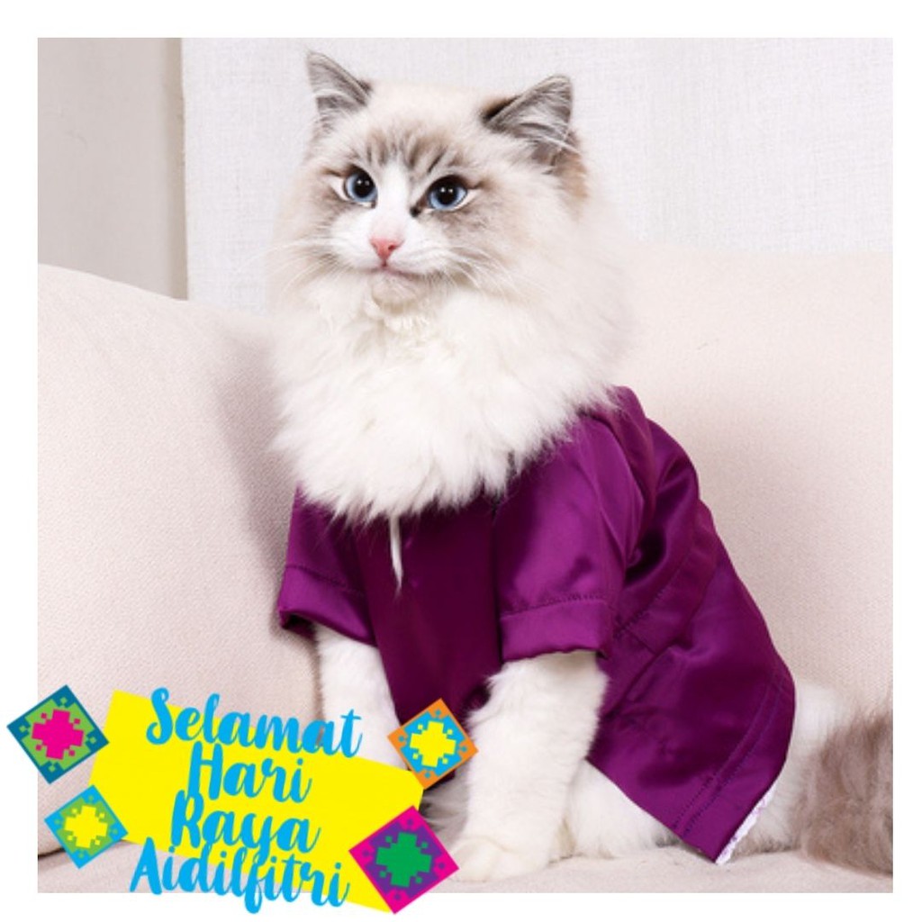 Baju Melayu Kucing Baju Kurung Kucing baju Raya kucing | Shopee Malaysia