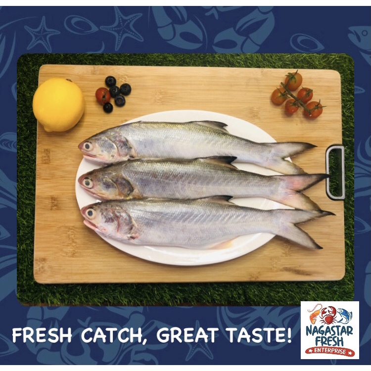 [RM38/KG] IKAN SENANGIN/THREADFIN FISH FRESH LOCAL | Shopee Malaysia