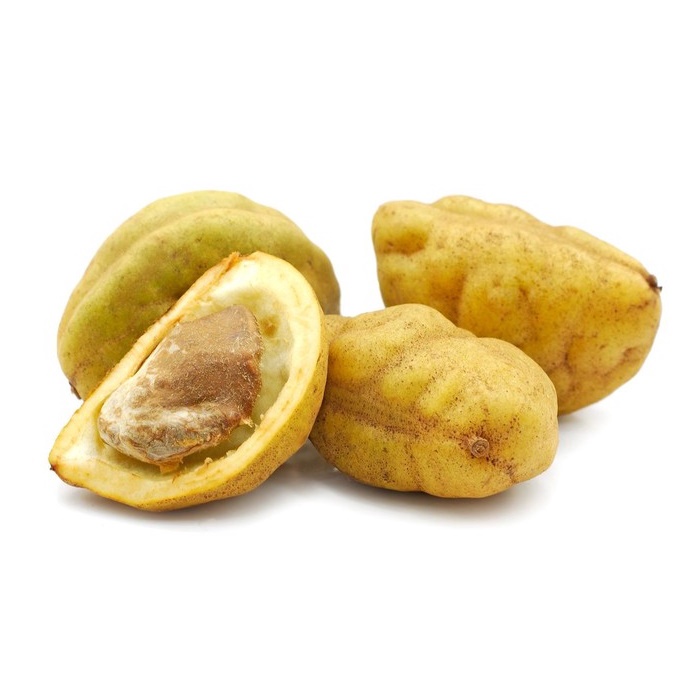 Anak Pokok Nam Nam @ Katak Puru Lejen | Shopee Malaysia