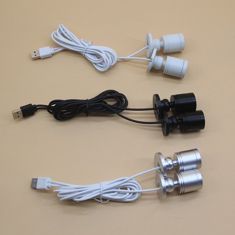 Upgrade Your Lighting with the Stylish USB One For Two 3W Mini ...