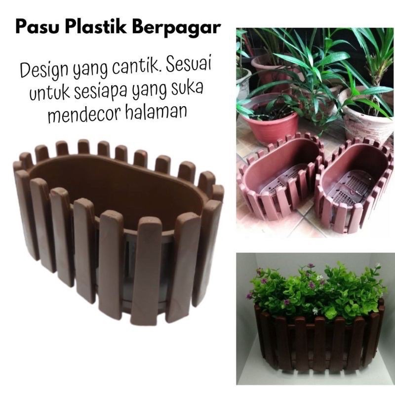 PASU BUNGA PANJANG TEBAL READY STOCK / TANAM SAYUR / TANAM POKOK BUNGA ...