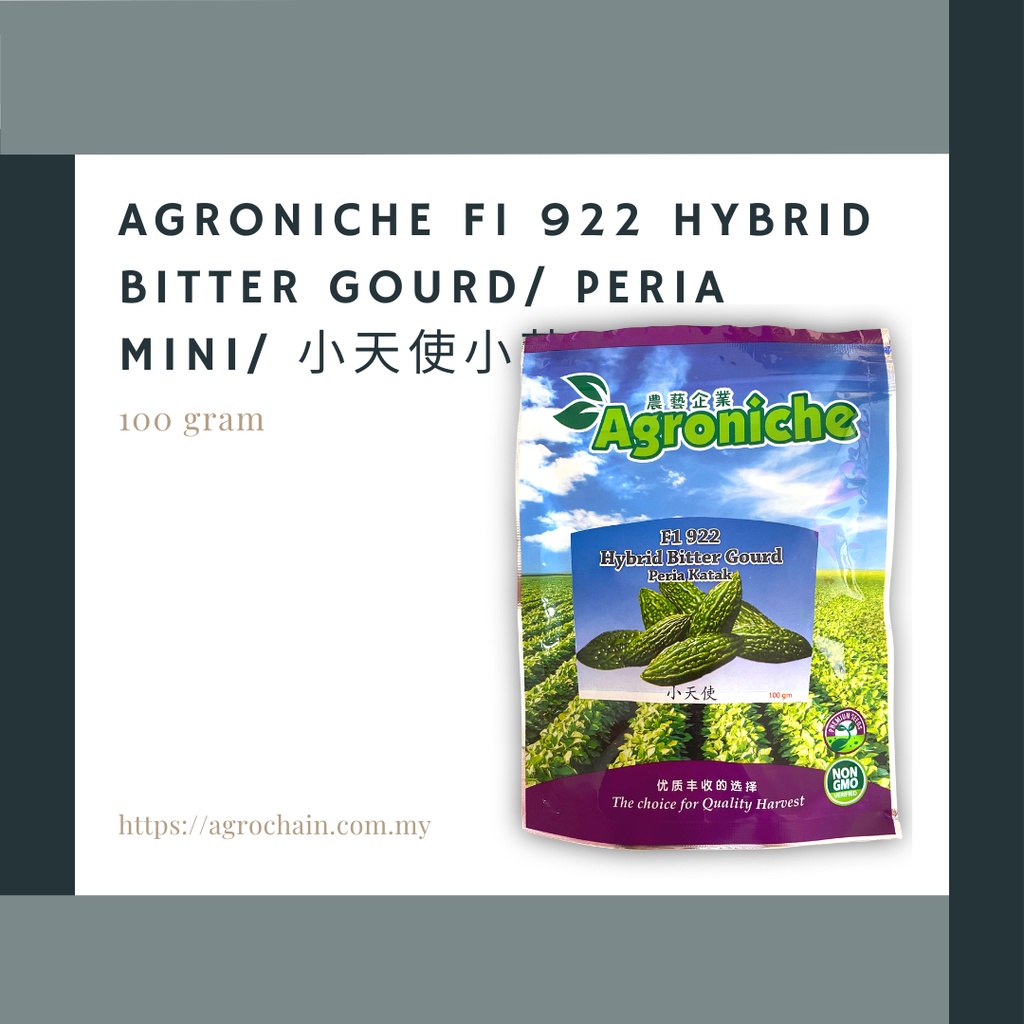 AGRONICHE - F1 922 HYBRID BITTER GOURD/ PERIA MINI/ 小天使小苦瓜 - 100 GRAM ...
