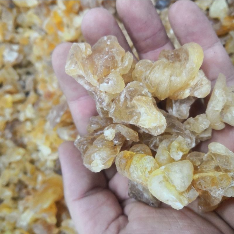 GETAH ANGGUR (100g) | Shopee Malaysia