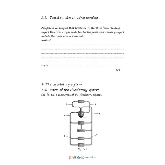🌈[IGCSE EXERCISES] IGCSE Year 7 & 8 Science Exercises (Chapters by ...