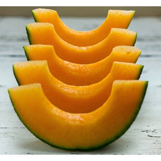 10 seeds Benih Rock Melon Sakata Glamour F1 Hybrid repack rockmelon ...