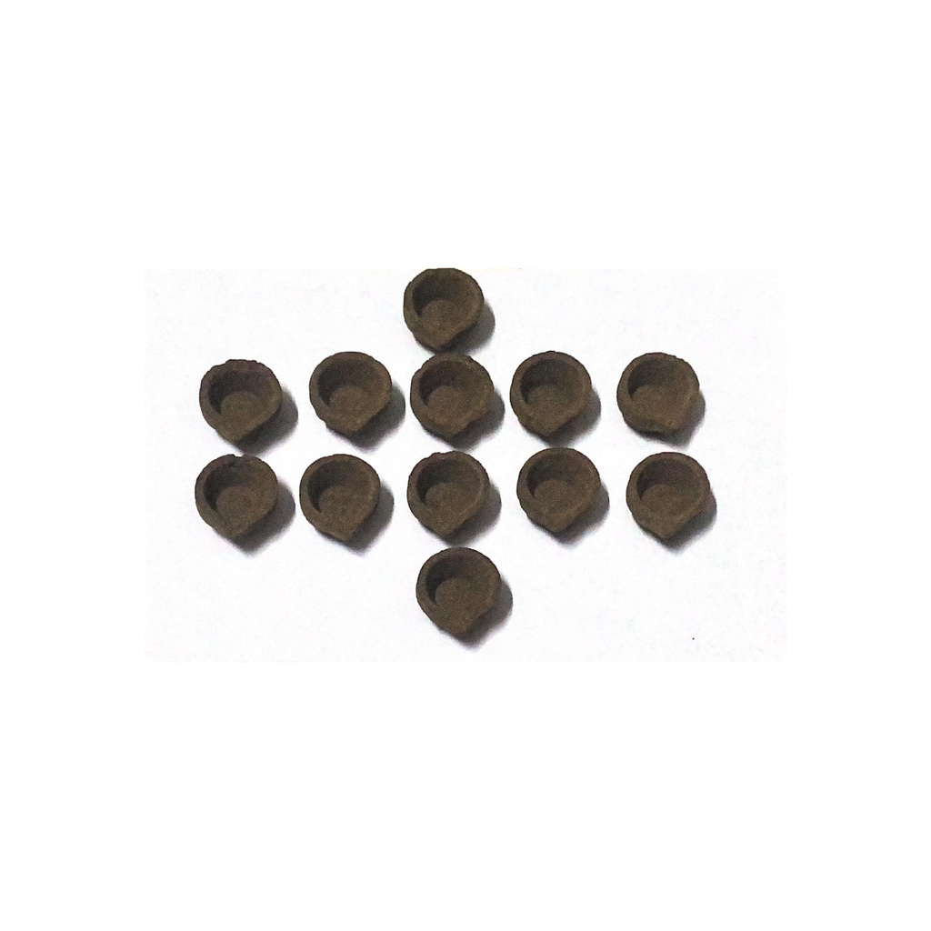 Panjakavya Cow Dung Varathi Agal Vilakku Diya Lamp 12pcs Panchakavya ...