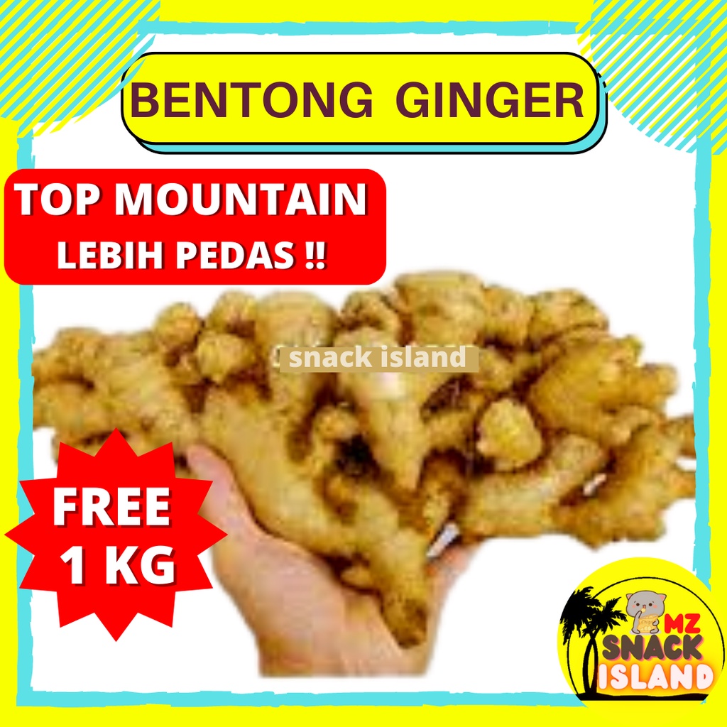 1 KG] Organic Fresh Bentong Ginger Halia Bentong Sayur Segar Vegetable ...