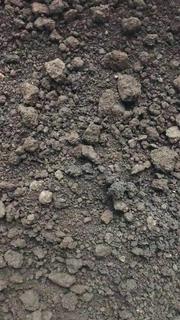 Organic Bio-Compost *Bio-Organic Fertilizer* (EFB / POME) (2L /1.5KG ...