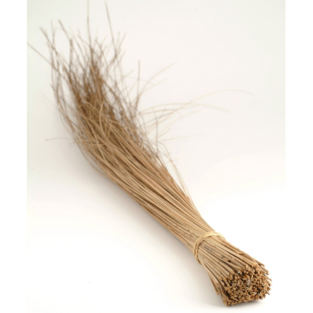 PENYAPU LIDI / LIDI BROOM | Shopee Malaysia