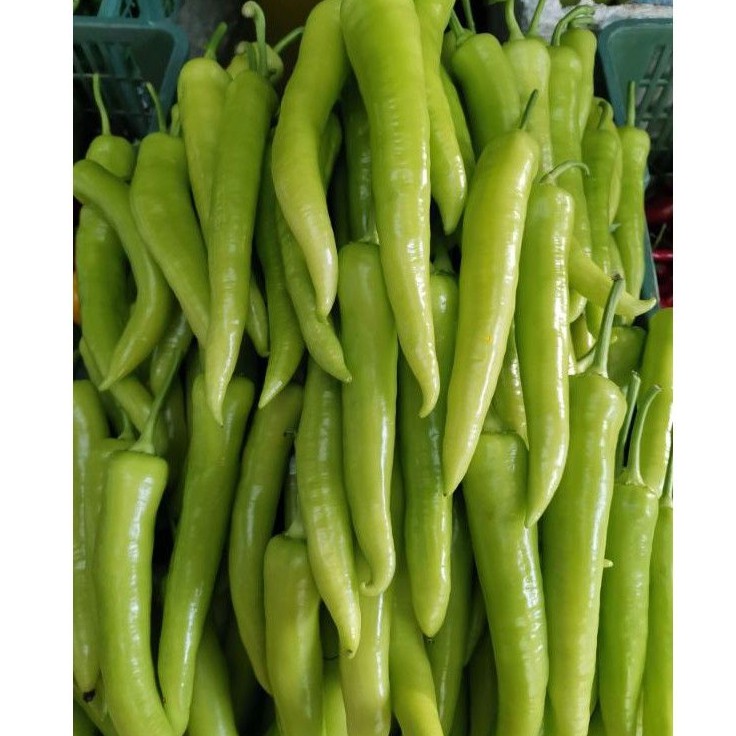 LADA SOLOK/SOLOK CHILI (+/-400g) | Shopee Malaysia