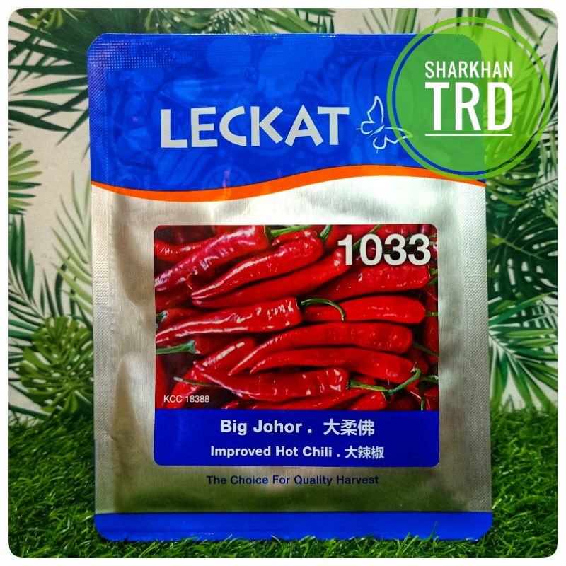 NEW STOCK 🔥 Paket 10g BIG JOHOR 1033 Leckat Biji Benih Cili Besar Merah ...