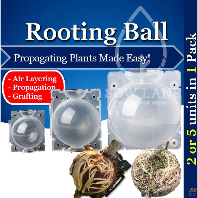 Rooting Ball Transparent Air Layering Propagation Bubble Kit | Shopee ...