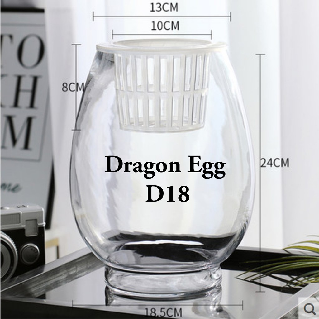 Pasu Kaca bulat Glass Vase Goose egg shape hydroponic vase pasu bunga ...