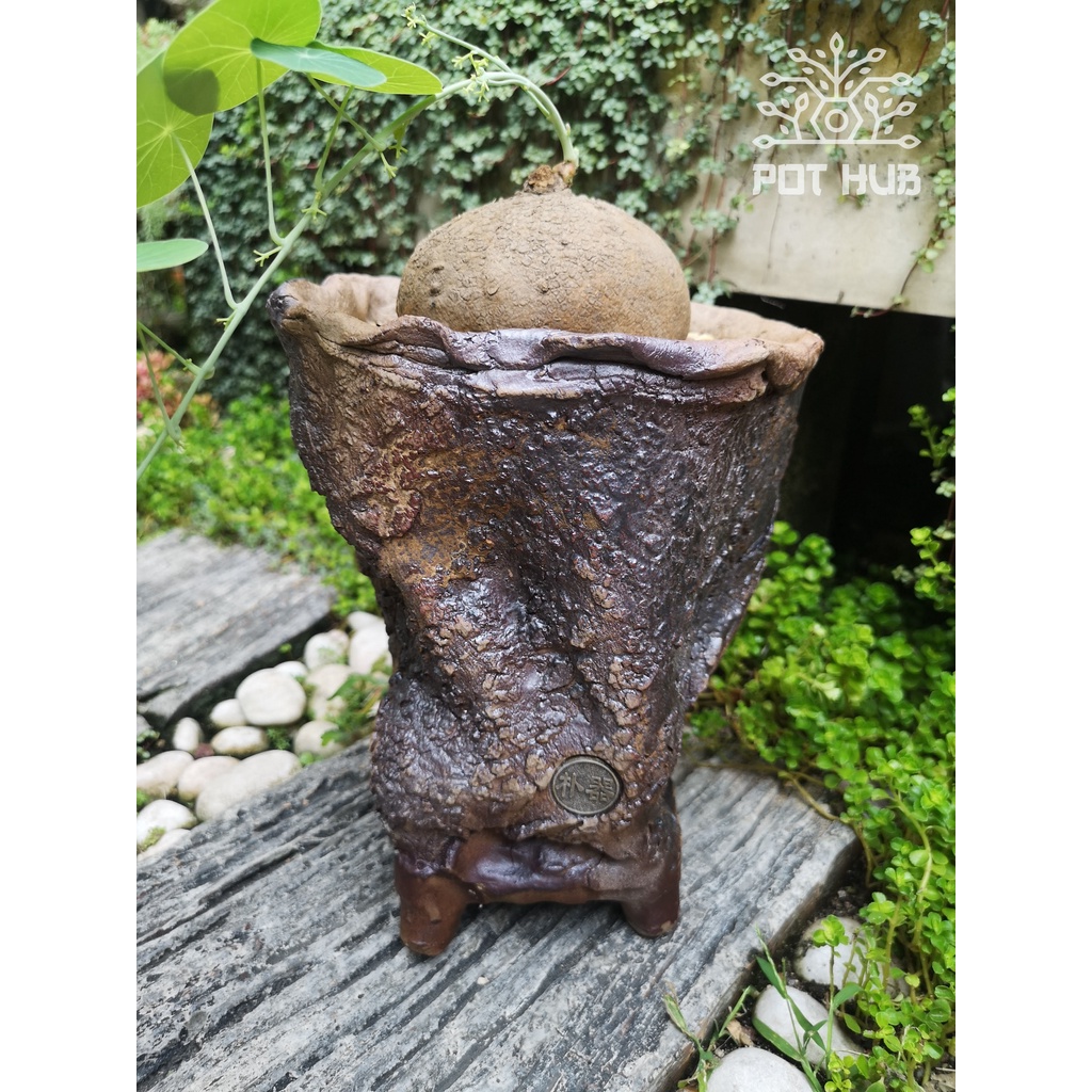 POTHUB Ready Stock Luxury High Quality Rough Stone Pot Pasu Bunga ...