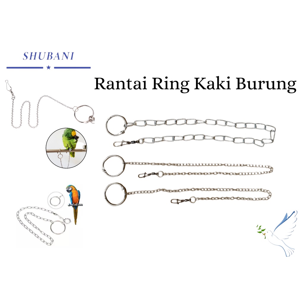 READY STOCK, Rantai kaki Burung/Parrot,Bird Leg leg ring flying rope ...
