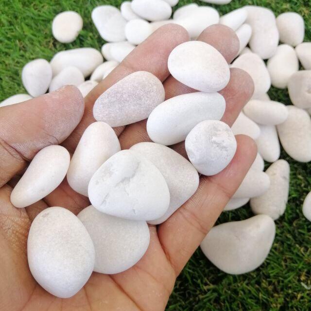 1KG BATU SUNGAI TEMPATAN - Batu Putih Pebble Gardening Landscape Decor ...