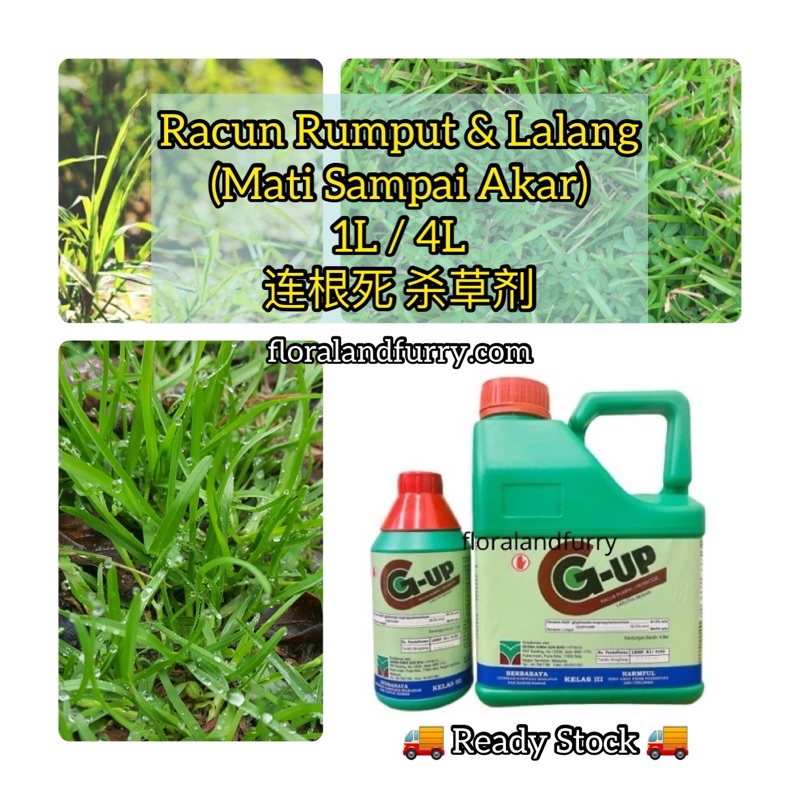 Racun Rumput Rumpai Lalang Mati Akar 1L 4L Weed Killer Glyphosate 41% ...