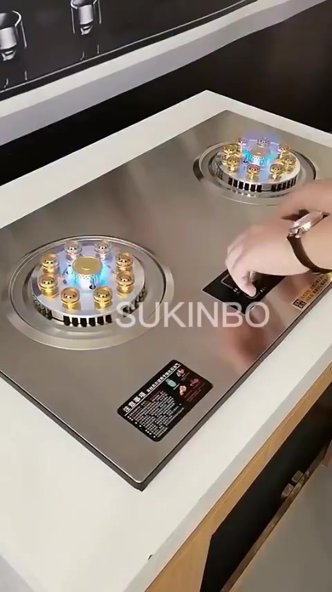 SUKINBO 8.5KW Double Burner Stainless Steel Gas Stove Desktop Embedded ...
