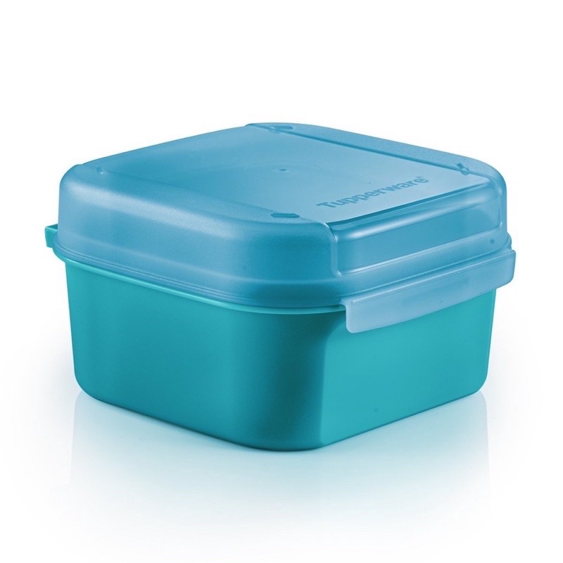 Tupperware Mini Signature Square 450ml | Shopee Malaysia