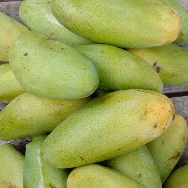 MANGGA GOLEK TAWAU SABAH | Shopee Malaysia
