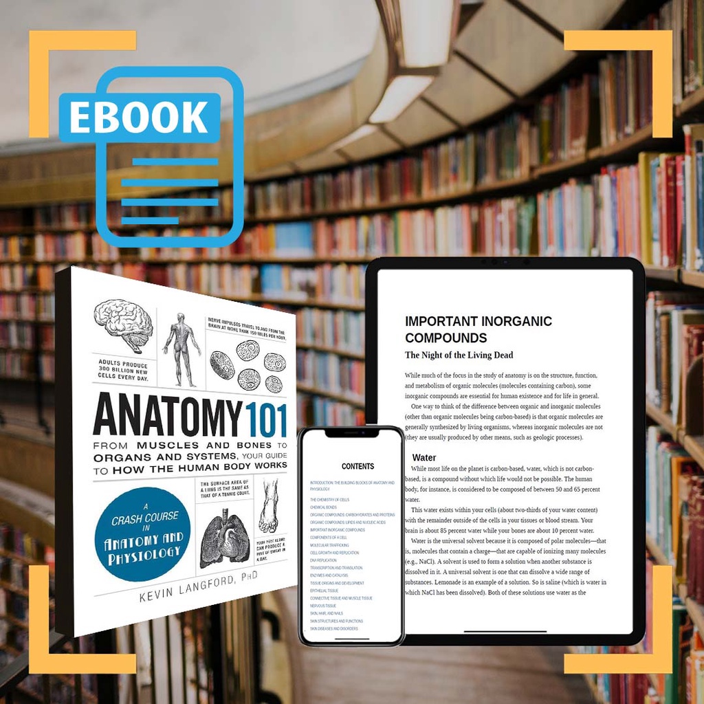 📚 Anatomy 101 | From Muscles and Bones to Organs and Systems, Your ...