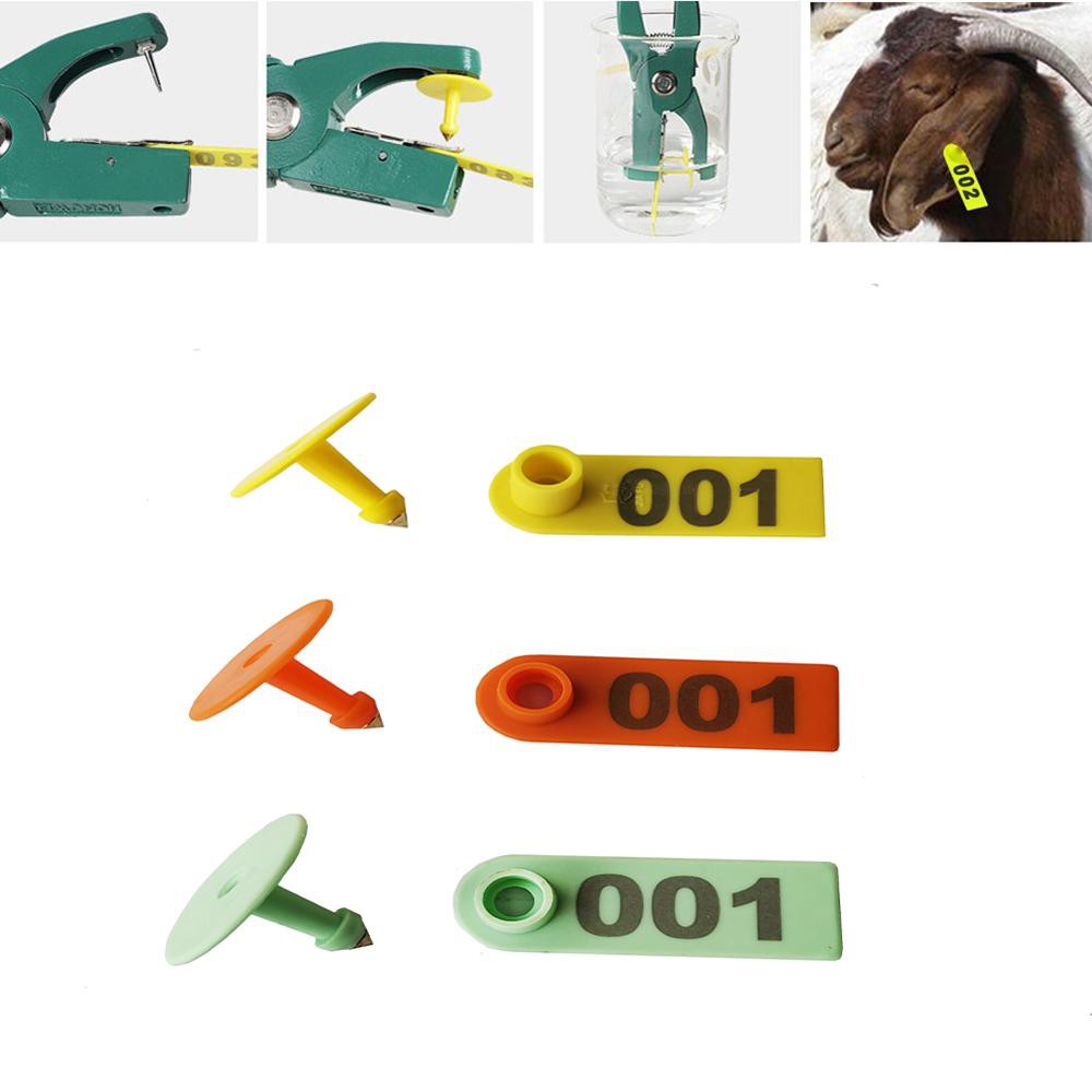 GK 100Pcs Livestock Ear Tag for Goat Sheep Pig Three Colors Number 1 to ...