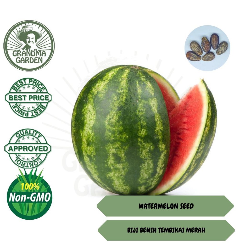 👵BELI 10 FREE 1👵 BIJI BENIH TEMBIKAI MERAH / WATERMELON SEED ( 1G ...