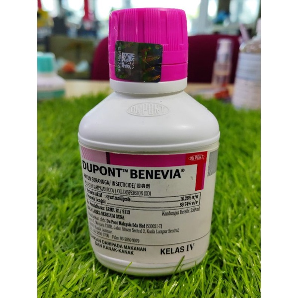 DUPONT BENEVIA 250ML A.I:Cyantraniliprole 10.26% Racun Serangga Kutu ...