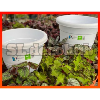PASU PROMOTION @ Baba EG Series Flower Pot *EG-260 & EG-310* (WHITE ...