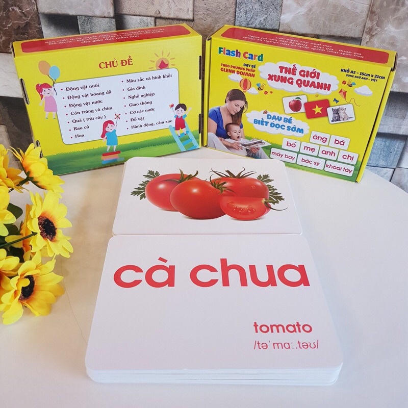 Glenn DOMAN LEARNING CARD SET, LEARNING CARDS FOR KIDS, A5 CARDS ...