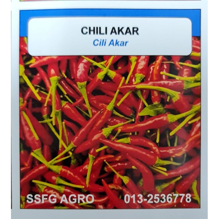 BENIH CILI AKAR @ AKAR CHILI (50 BIJI) | Shopee Malaysia