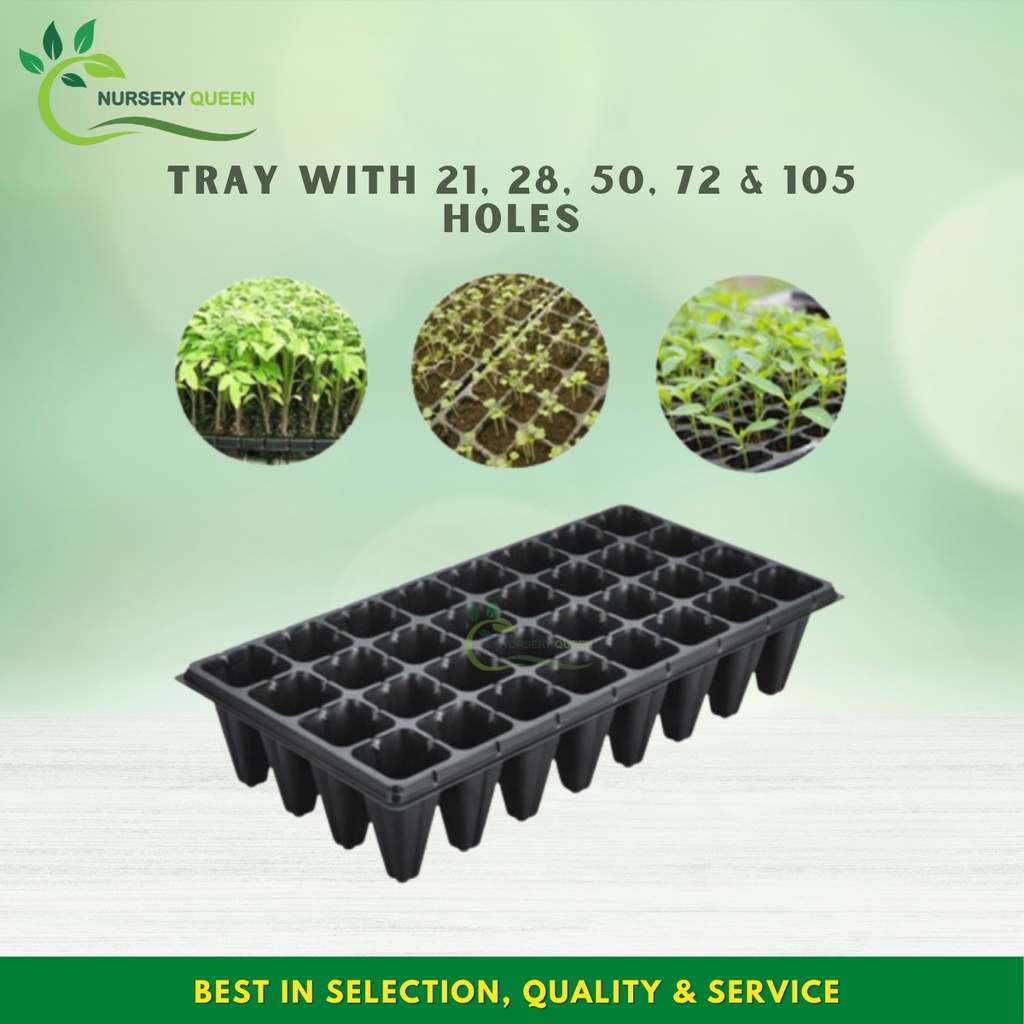 Tray Semaian 21/28/50/72/105 Holes for Growing Crops Seedling Seed ...