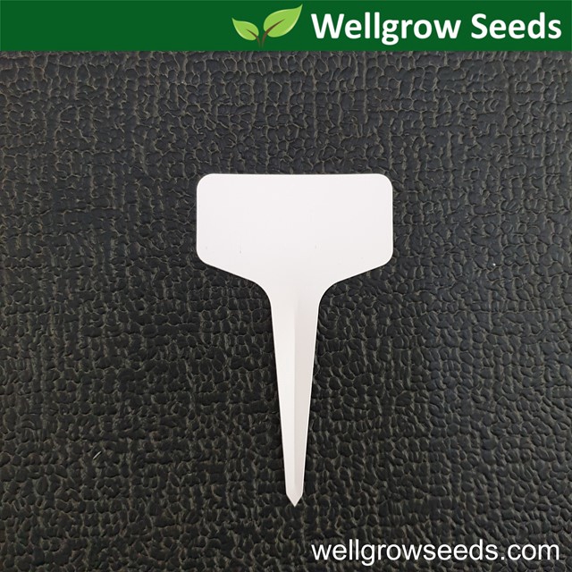 Plant Tag / Seedling Tray Label : SL11 (100pcs) | Shopee Malaysia