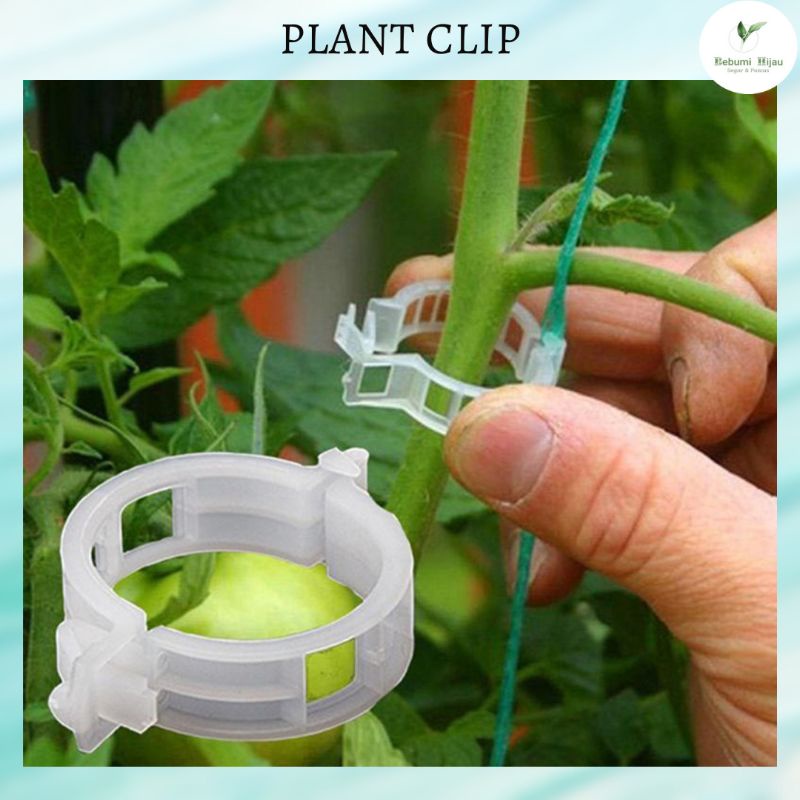 5 Plant Clip Tomato klip untuk pegang pokok menjalar | Shopee Malaysia