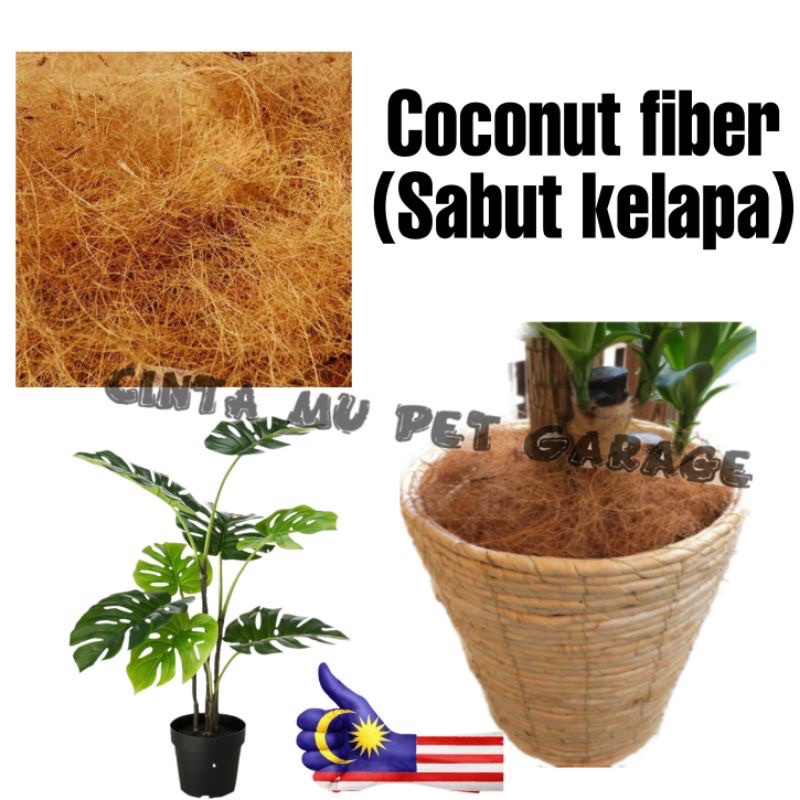 Coconut Fiber 200g 500g Sabut Kelapa Ong Fibre Coco Fiber Serat Kelapa ...