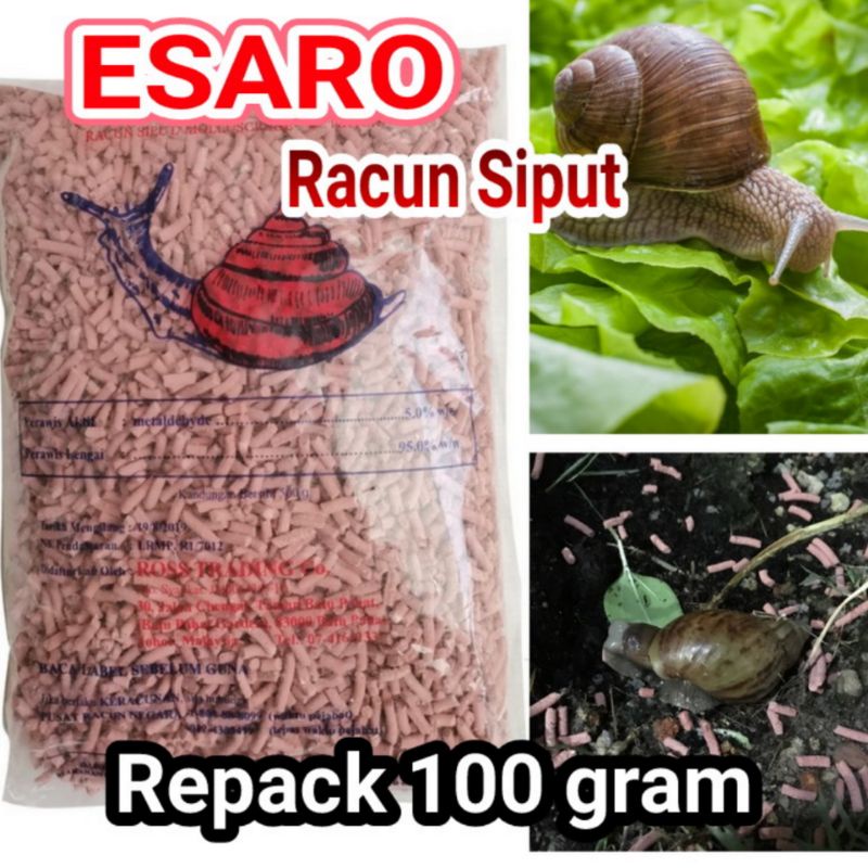 [READY STOCK] ESARO RACUN SIPUT BABI & LINTAH BULAN SNAIL 80gram ...