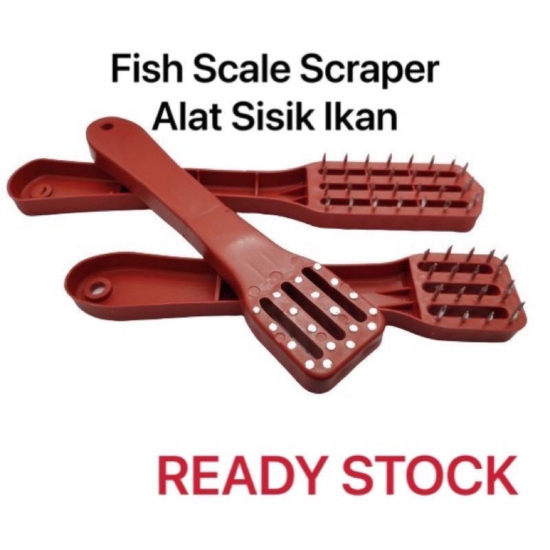 Ready Fish Scale Scraper Alat Buang Sisik Ikan Fish Scale Remover Fish ...