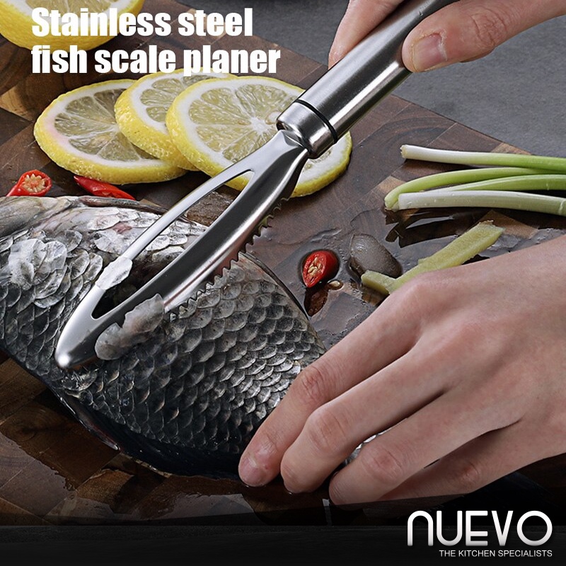 Fish Skin Brush Scraping Fishing Scale Brush Graters Fish knife ...
