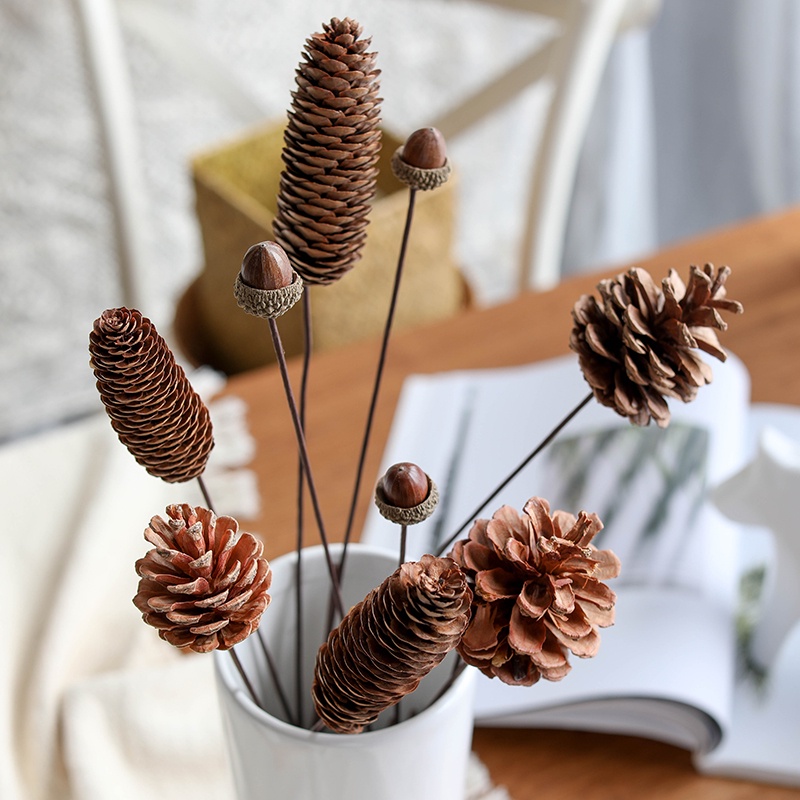 Dried Flower Pine Spruce Pine Chinese Red Pine Dried Lotus Head Pine ...
