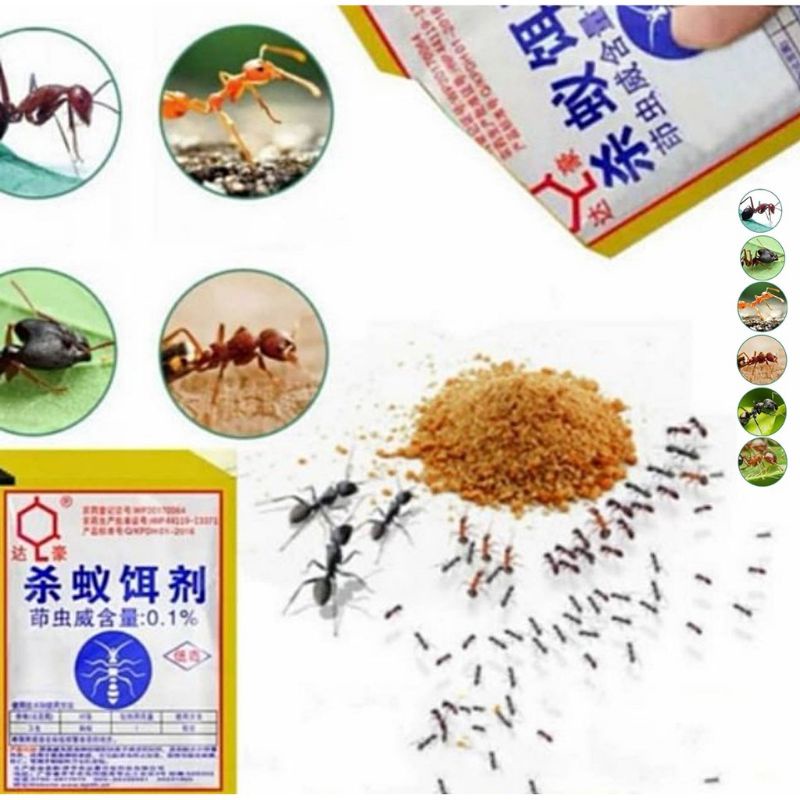 🔥READY STOCK🔥Ubat Semut Powder Ant Killer Ant Pest control Anti Ant ...