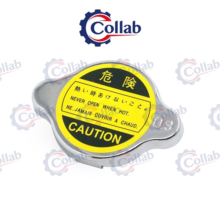 Collab Radiator cap R124, R148, R125, R126(0.9&1.1) for Proton Saga ...