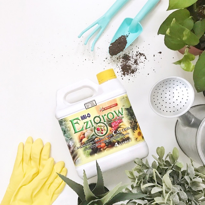 Baja tanaman / penggalak timbuhan / tanaman berganda - Ezigrow - 4 ...