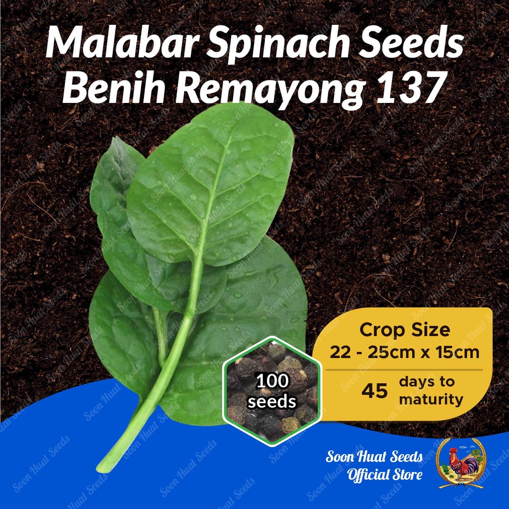 [Small Pack] 137 Benih Sayur Malabar Spinach Remayong Soon Huat Seeds ...