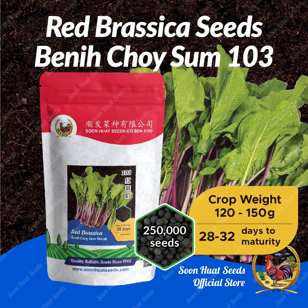 [500g] 103 Benih Sayur Sawi Bunga Merah Choy Sum Soon Huat Seeds ...
