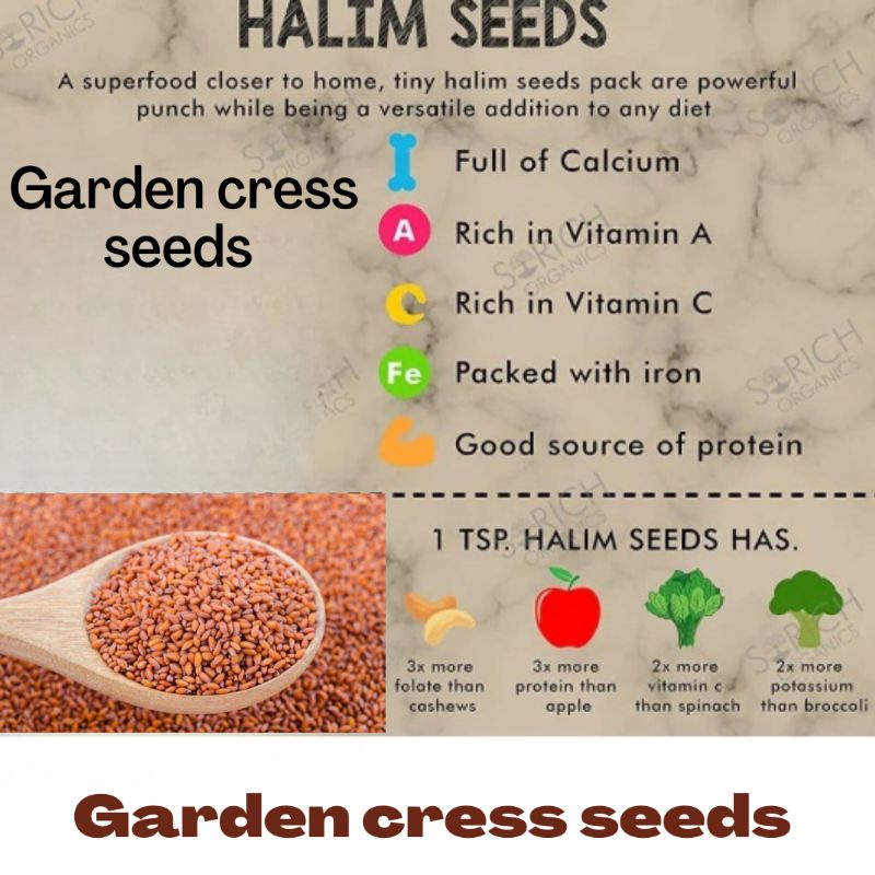 Saliya Seeds Garden Cress Seeds Habbatul Rashad 100%Natural good for ...